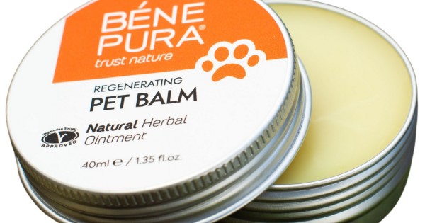 ᐉ Regenerating Dog Paw balm with Calendula - 40ml - Benepura.com