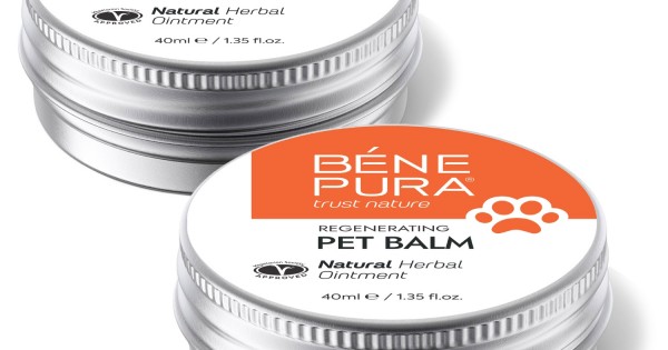 ᐉ 2x Regenerating Dog Paw balm with Calendula - 40ml - Benepura.com